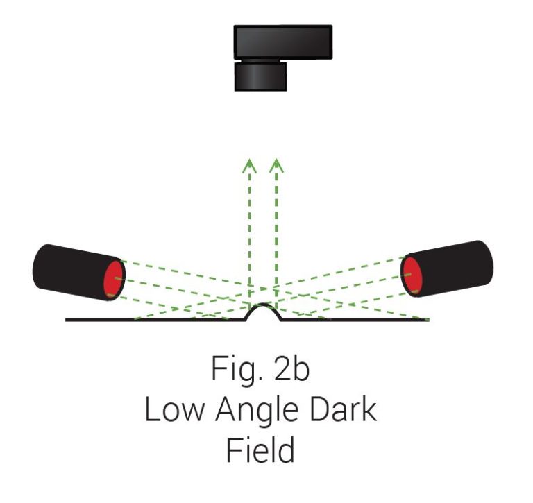 Bright Field vs. Dark Field | Dark Field Illumination