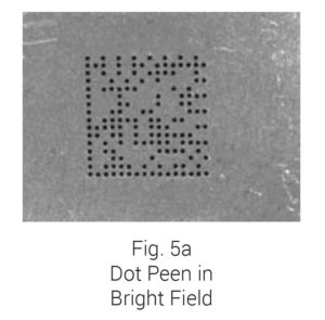 Bright Field vs. Dark Field | Dark Field Illumination