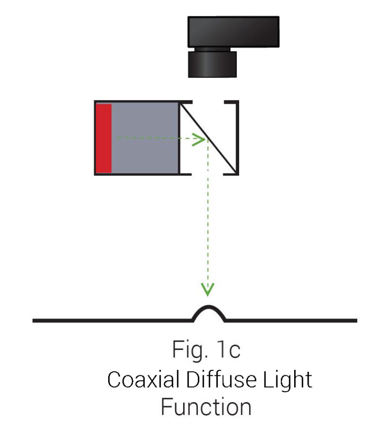 Bright Field vs. Dark Field | Dark Field Illumination